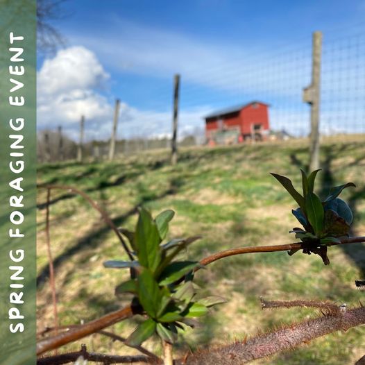 Living Hope Farm: Welcome - Living Hope Farm