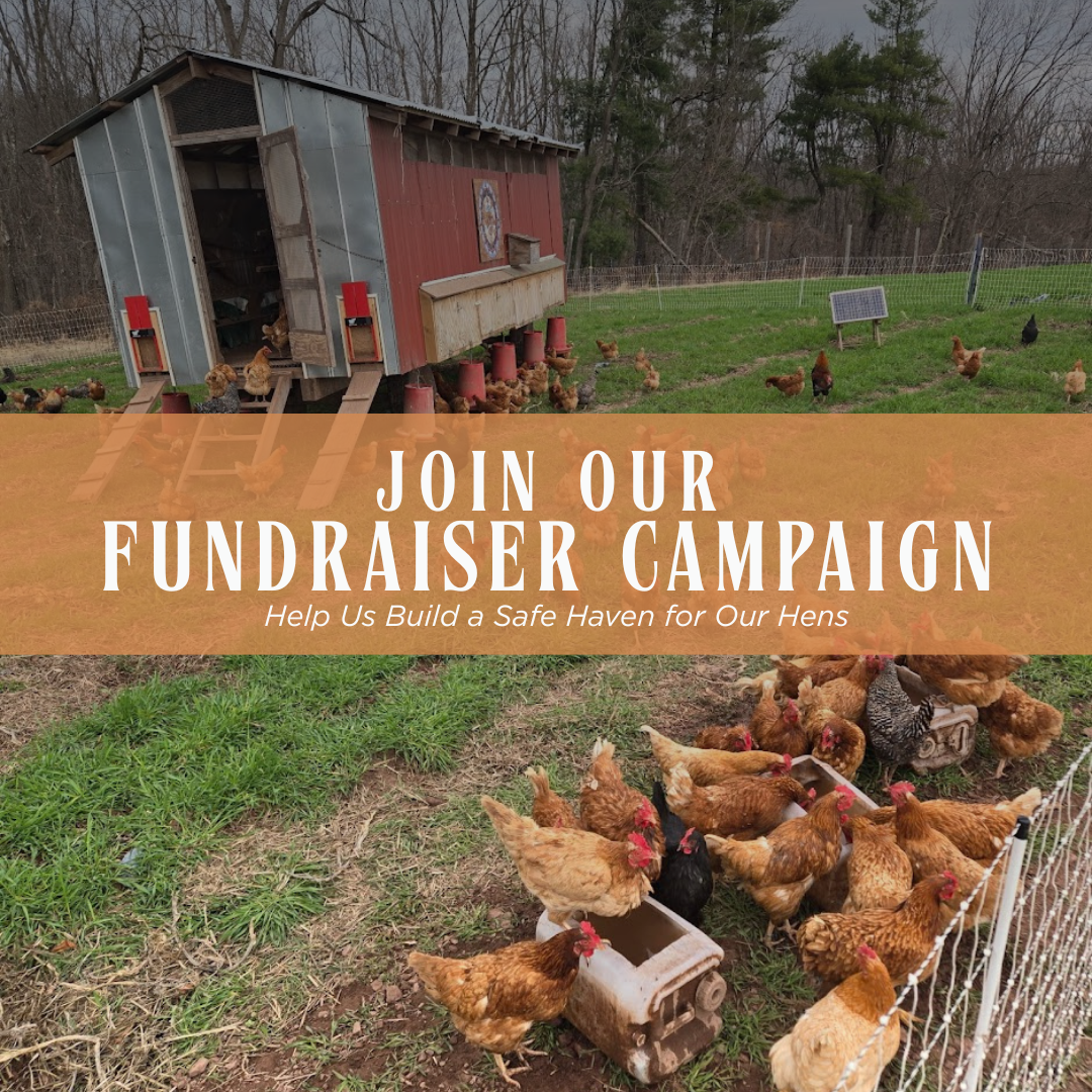 Living Hope Farm: Welcome - Living Hope Farm
